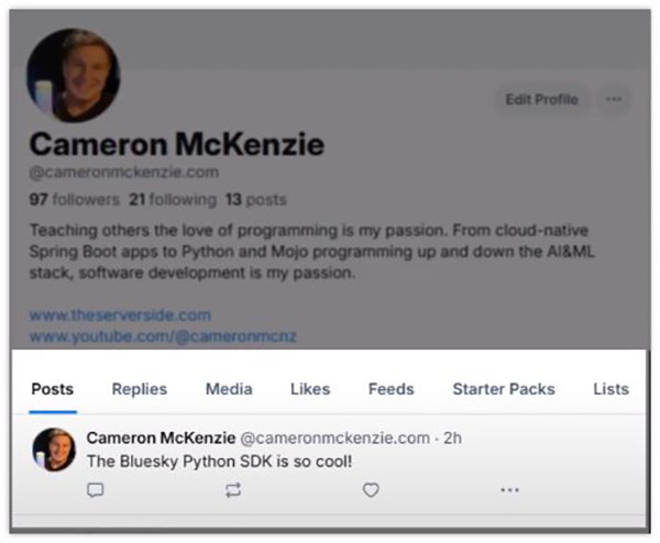 Get started with Bluesky API and Python API | TheServerSide