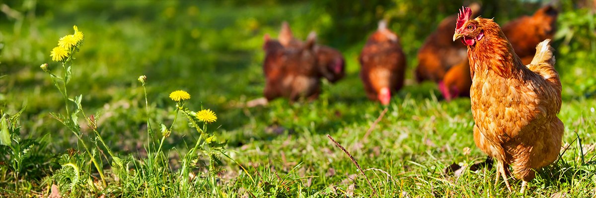 The case against vibe coding | TheServerSide